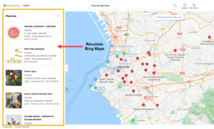 Bing Places for Business : enfin disponible en France